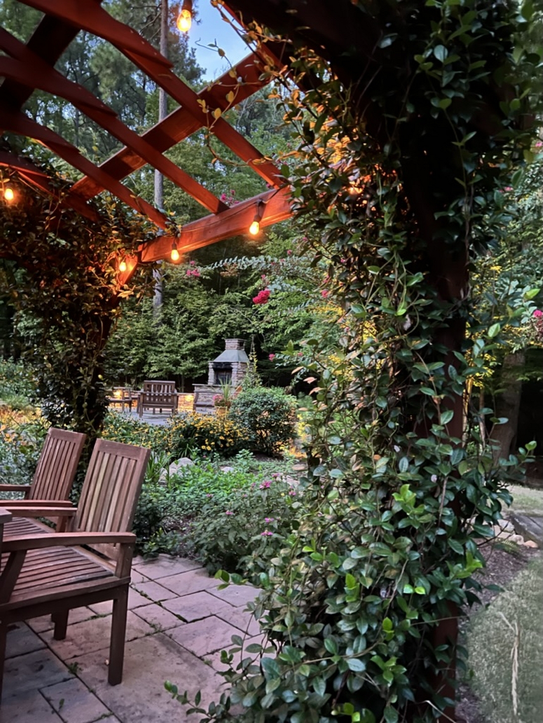 The Garden at Night - Fine Gardening