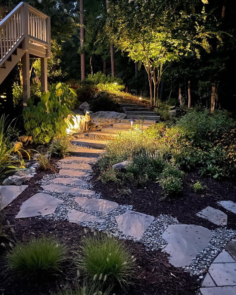 The Garden at Night - Fine Gardening