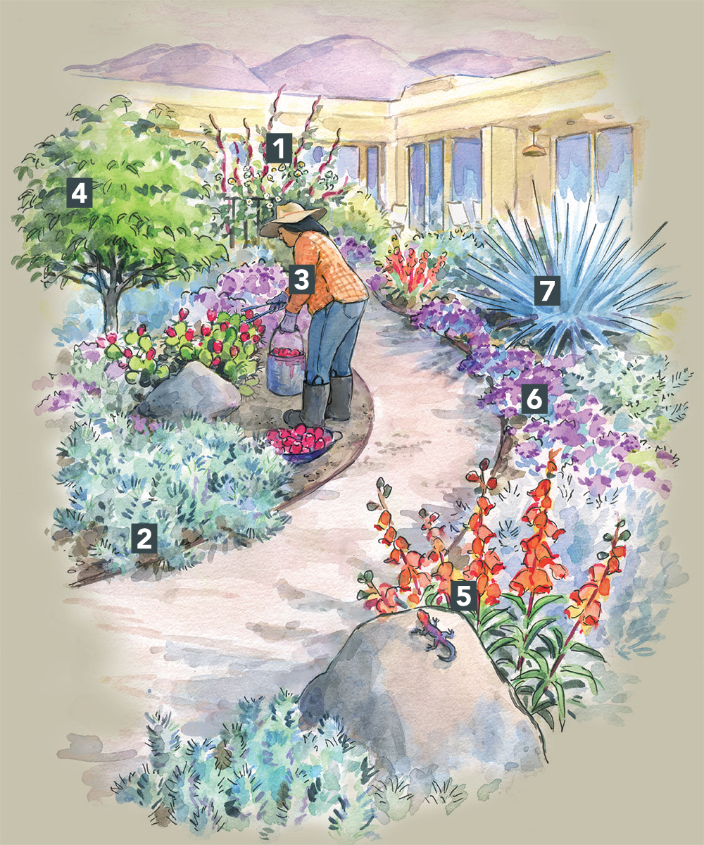 12 Bewitching Plants that Evolved Nasty Defenses Against Pests- Fine ...