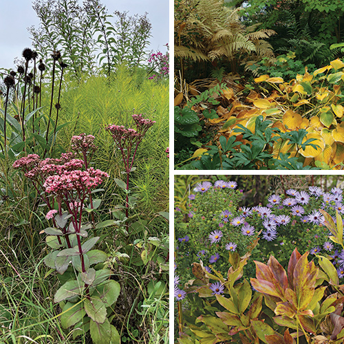 Bruce Lockhart - Fine Gardening