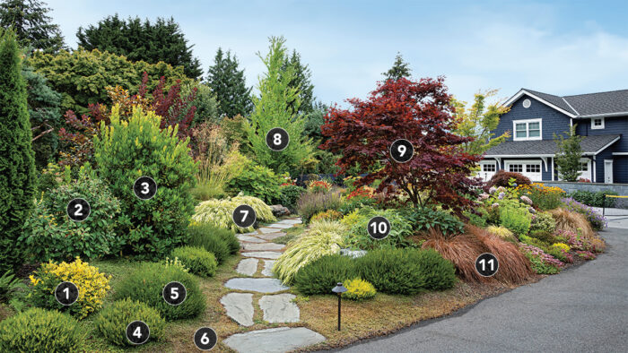 An Alluring Design for a Lawnless Front-Yard Garden: Plant IDs - Fine ...