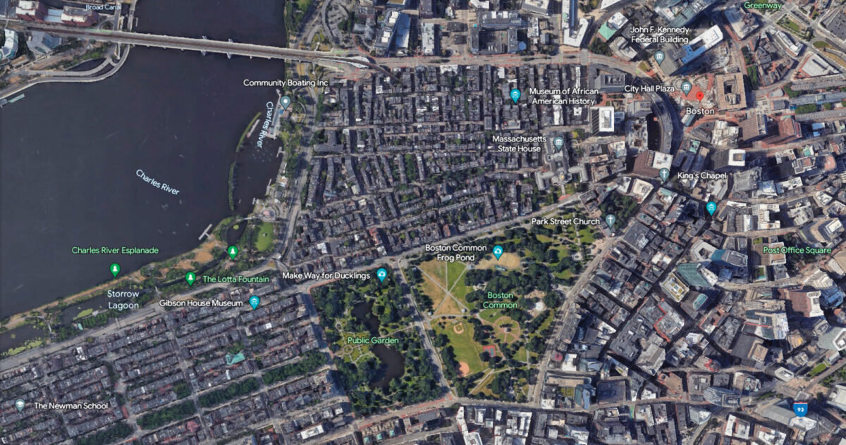 Green Heroes: Plants Making a Positive Environmental Impact - Fine ...