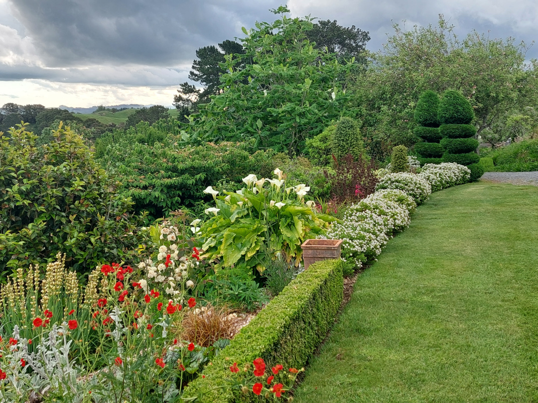 Jill’s New Zealand Garden - Fine Gardening