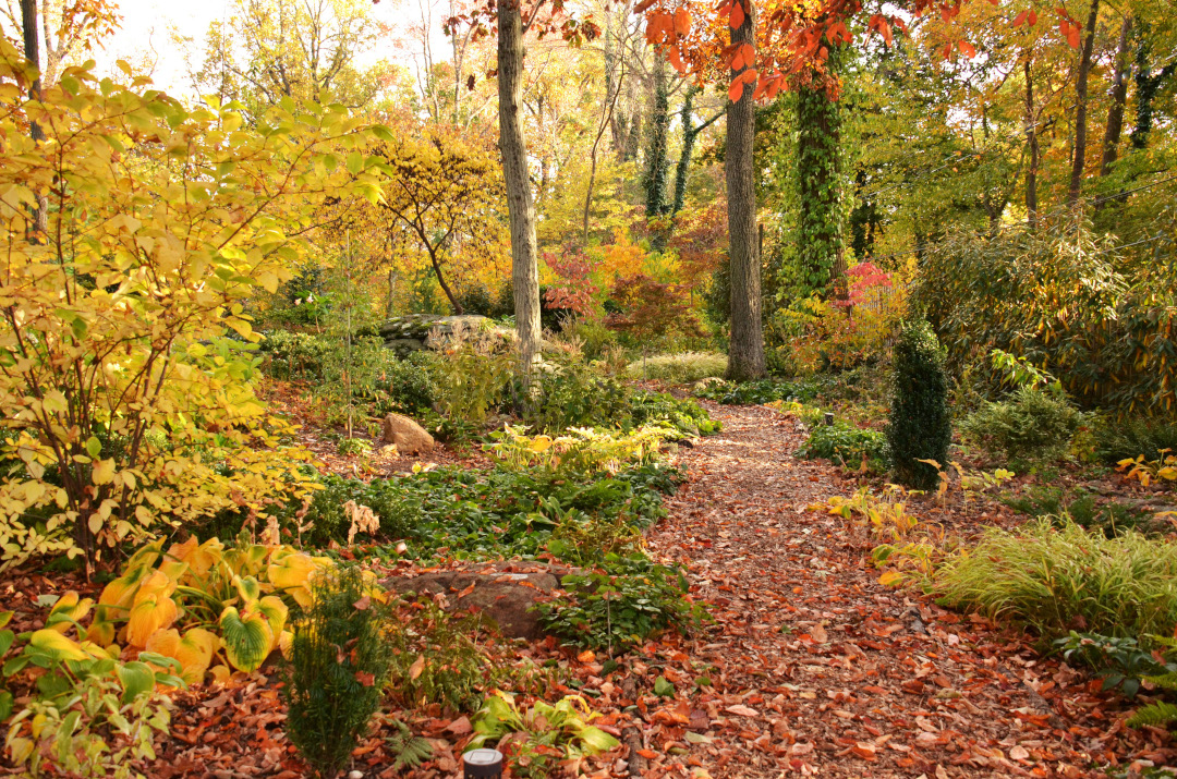 Fall in Carol’s Garden - Fine Gardening
