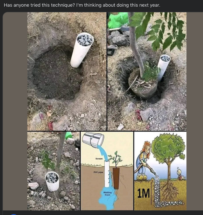 Watering with PVC pipe in ground? - Fine Gardening