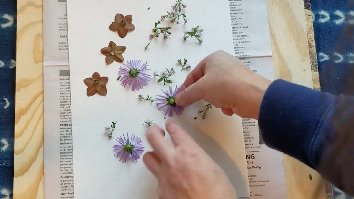 How to Make Beautiful Botanical Note Cards with Pressed Flowers - Fine ...