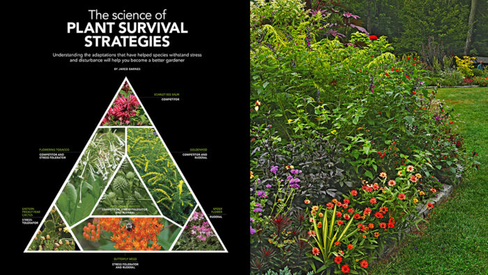 How to Use the Science of Plant Survival Strategies for a Healthier ...