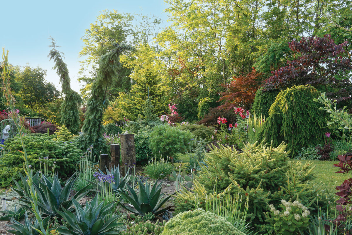 Designing Deep Garden Beds for Privacy and Interest in Your Outdoor ...