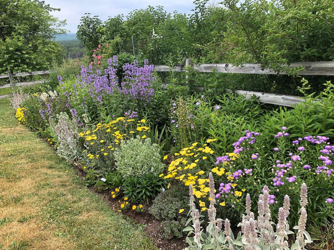 Harriet's Fence Garden - Fine Gardening