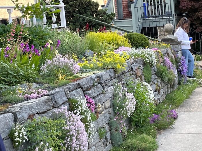 Janet's Rock Garden - Fine Gardening