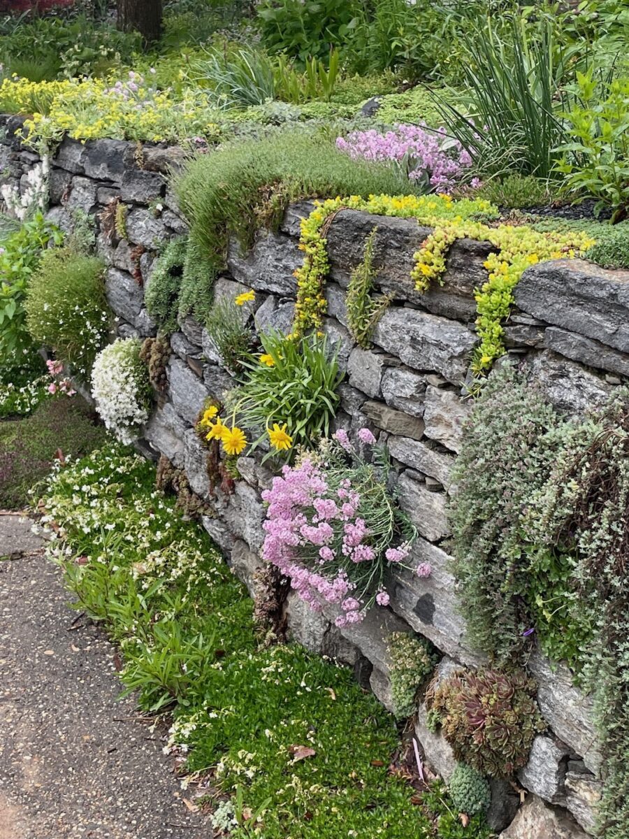 Janet's Rock Garden - Fine Gardening