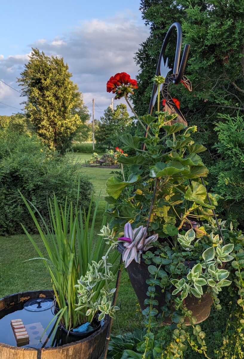 Summer and Fall in Maria's Garden - Fine Gardening