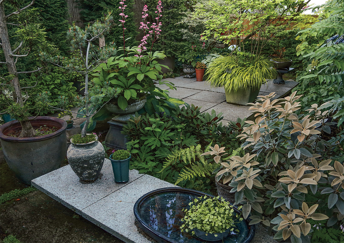How to Design a Serene and Immersive Garden Oasis - Fine Gardening