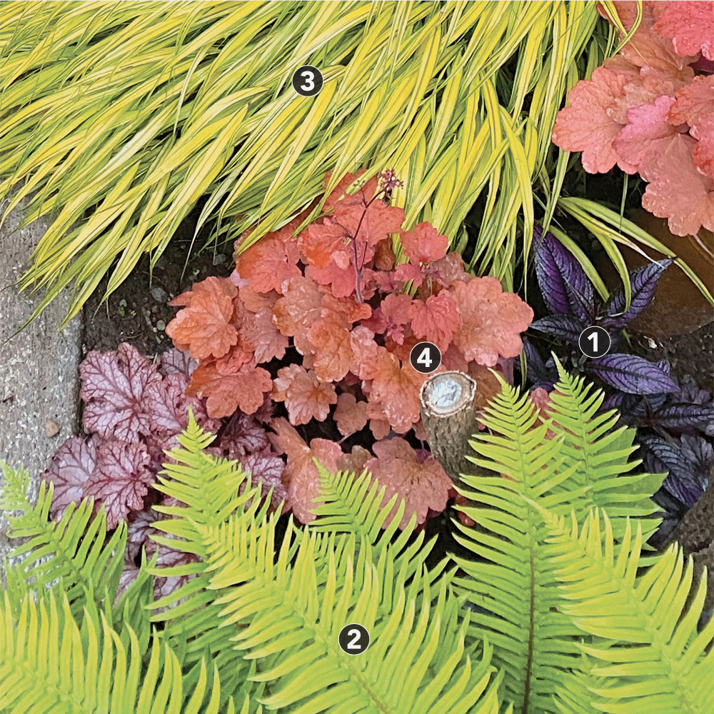 How to Design a Serene and Immersive Garden Oasis - Fine Gardening