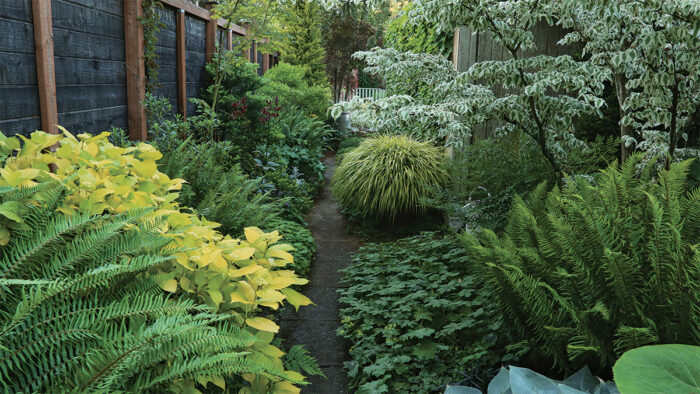 How to Design a Serene and Immersive Garden Oasis - Fine Gardening
