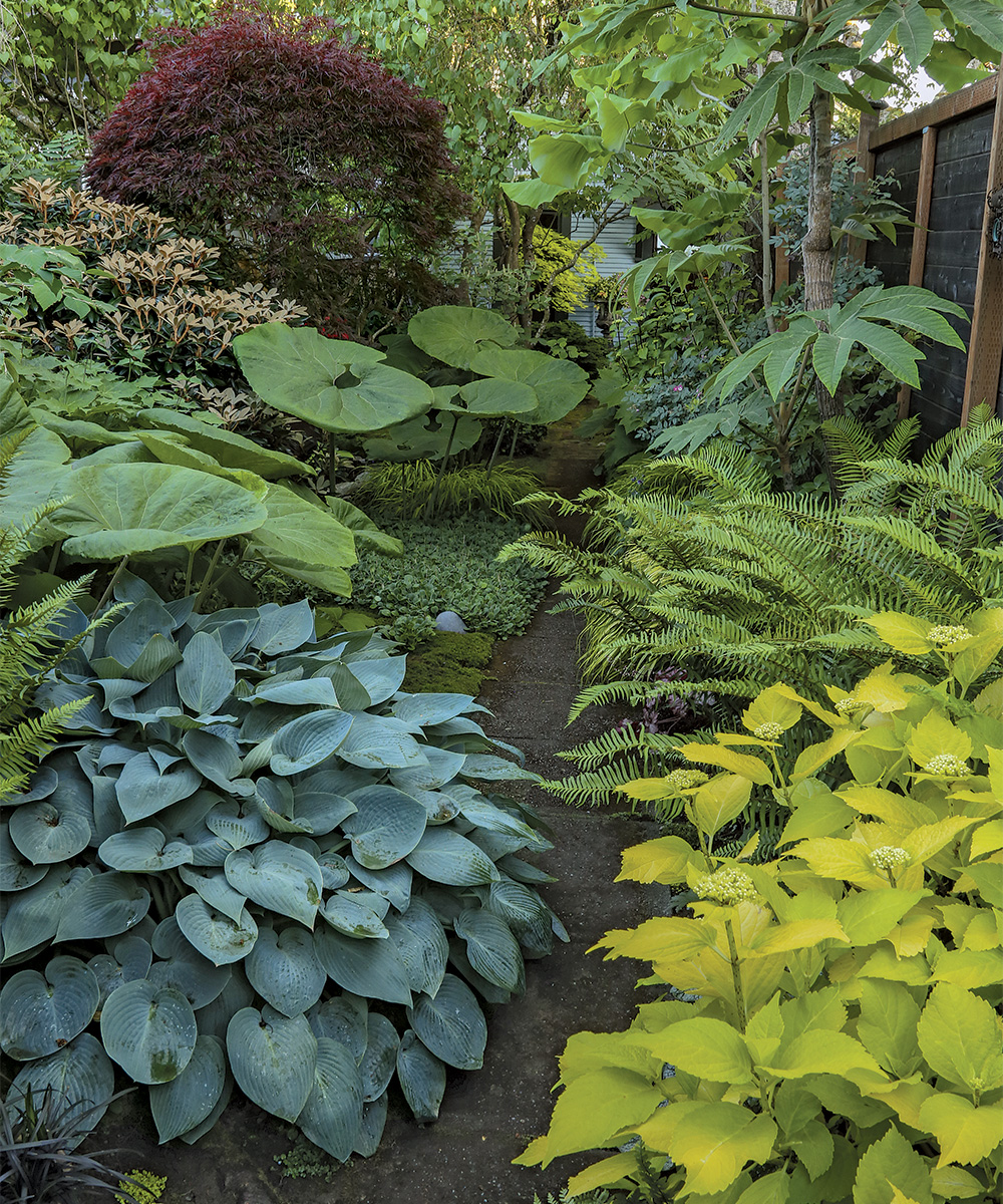 How to Design a Serene and Immersive Garden Oasis - Fine Gardening