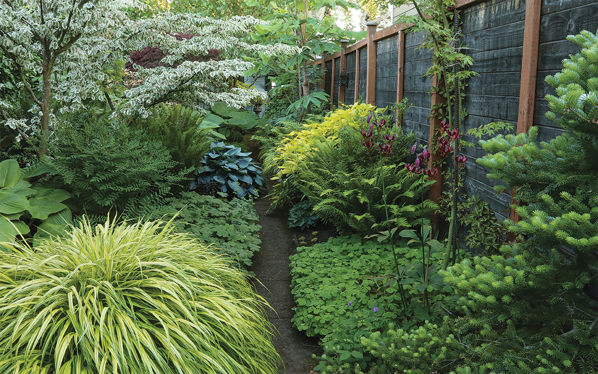 How to Design a Serene and Immersive Garden Oasis - Fine Gardening