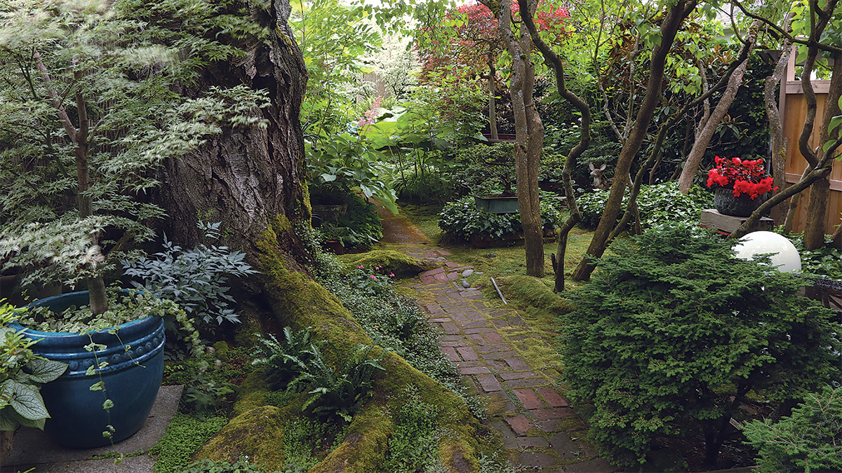 How to Design a Serene and Immersive Garden Oasis - Fine Gardening
