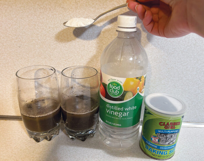 5 Easy Ways to Test Your Garden Soil pH at Home - Fine Gardening