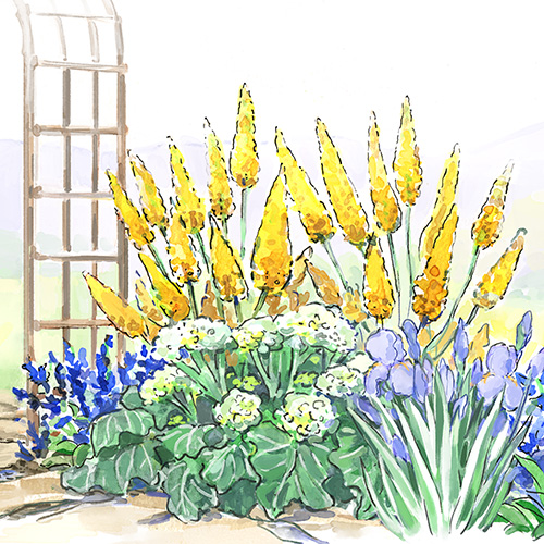 Spring Planting Plans for Your Region - Fine Gardening