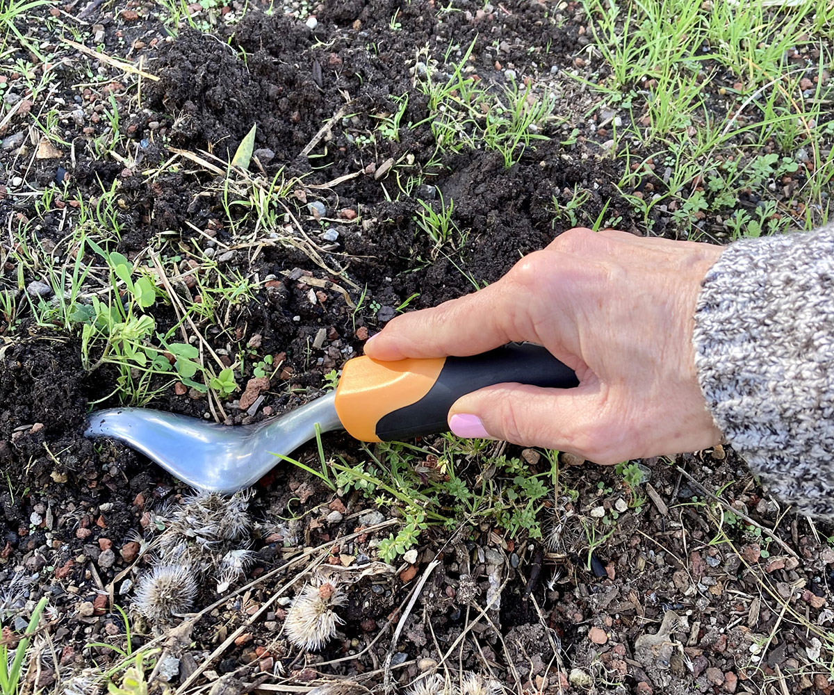 Novel Garden Tools to Get Excited About This Year - Fine Gardening