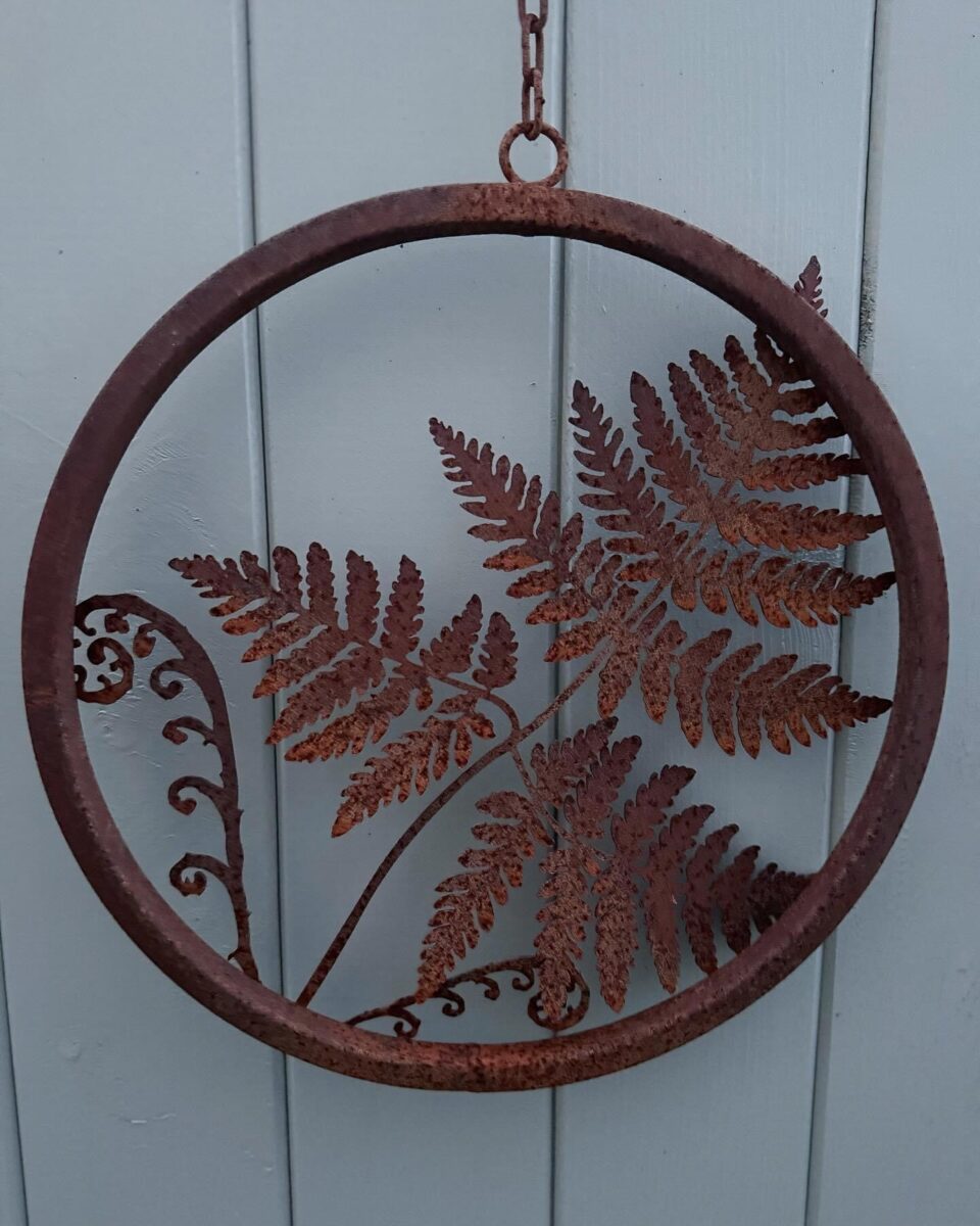 Winter at the Fern Fairway - Fine Gardening