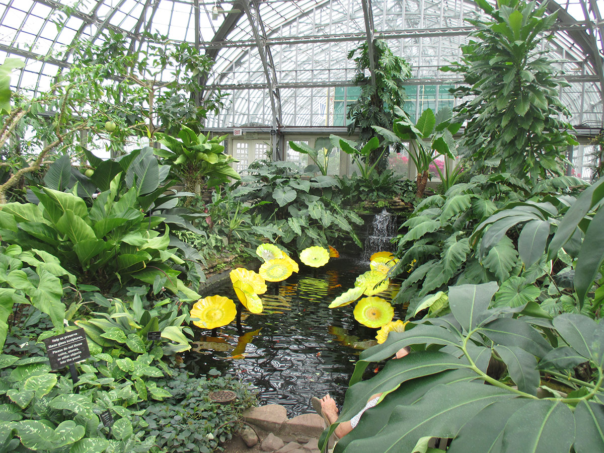 Have You Visited the Garfield Park Conservatory? - Fine Gardening