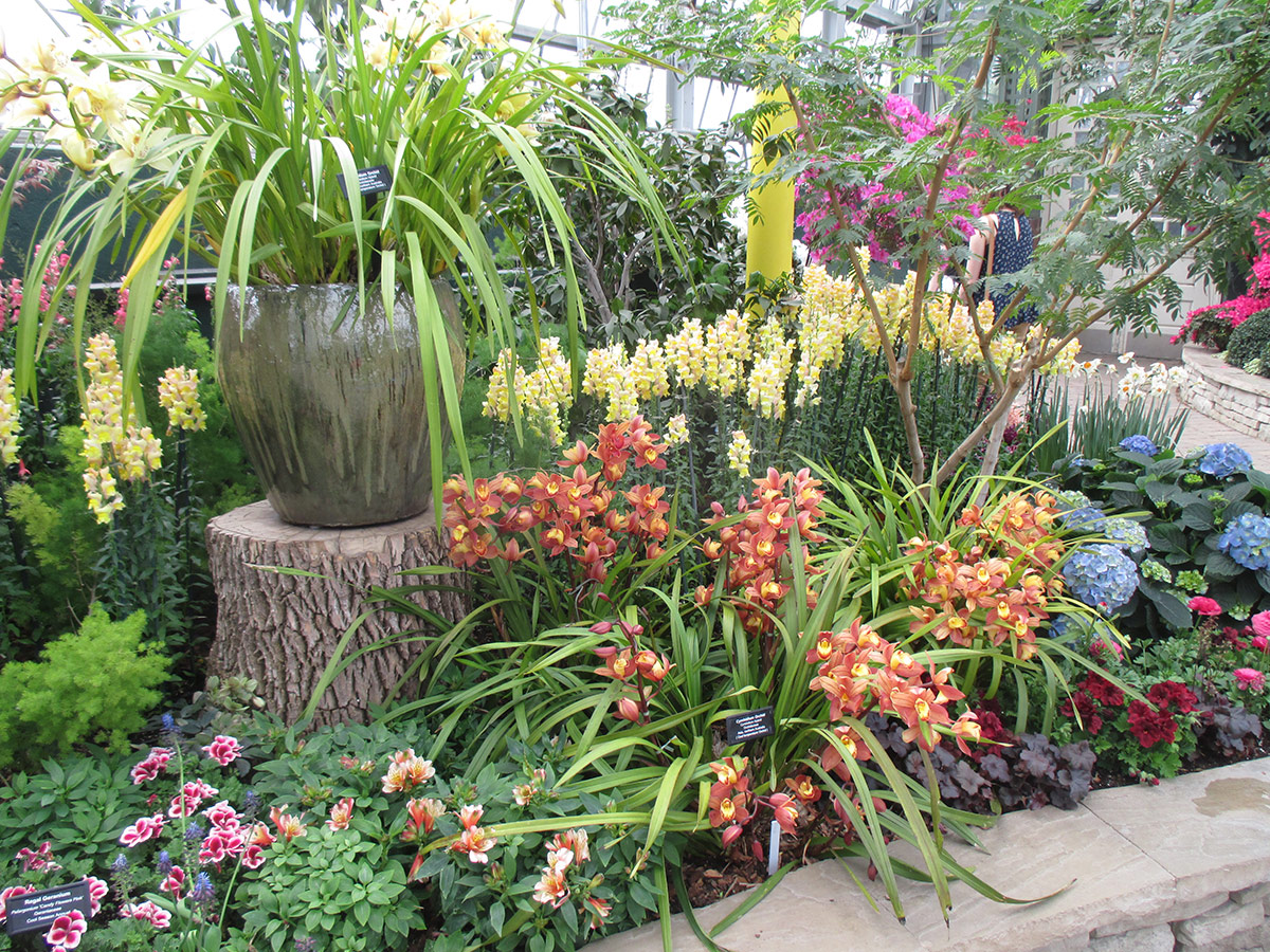 Have You Visited the Garfield Park Conservatory? - Fine Gardening