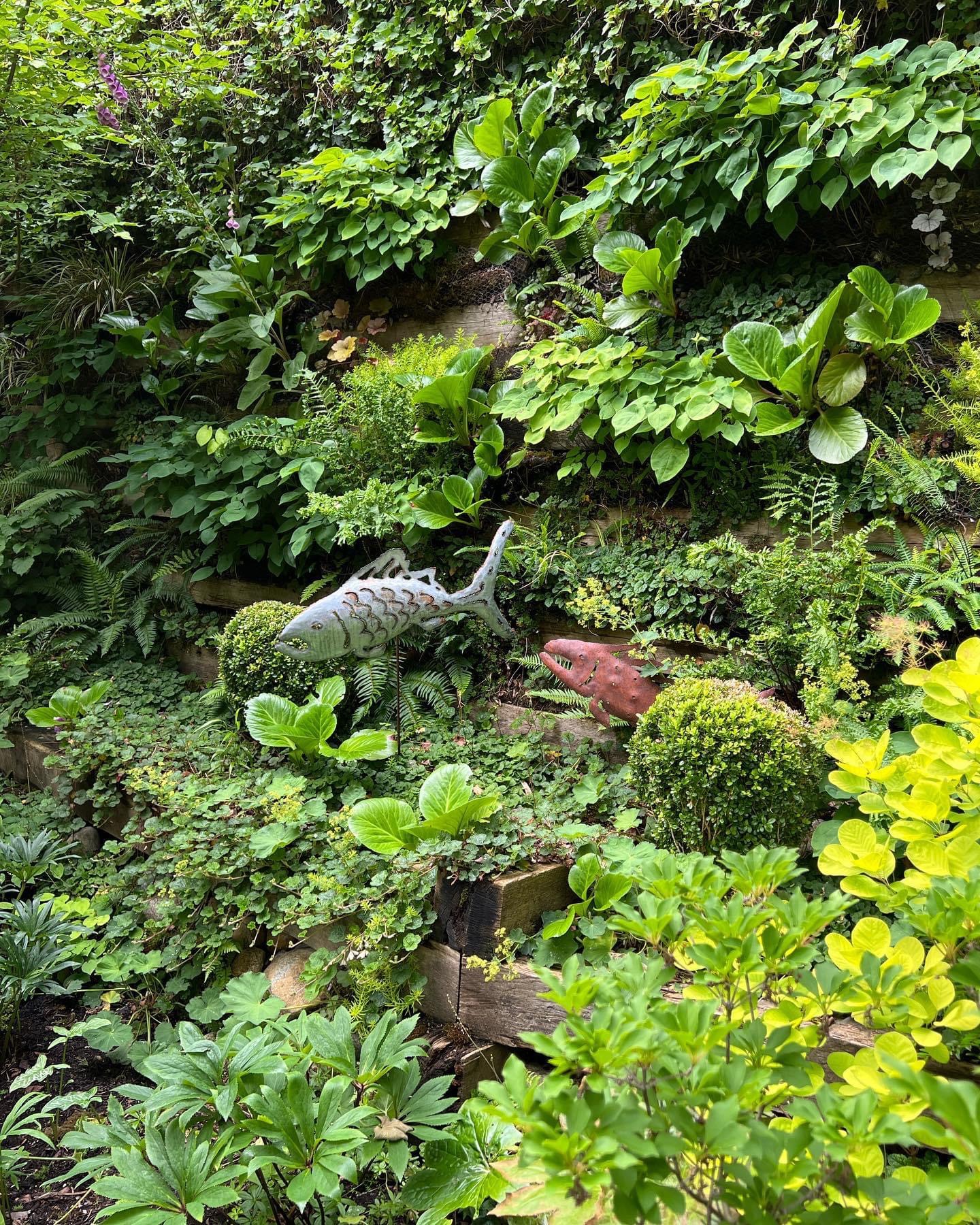 GPOD on the Road: Here Come the Podophyllums! - Fine Gardening