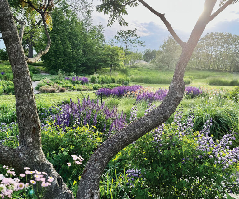 3 Strategies for Designing a Garden That Will Make an Impact for Years ...