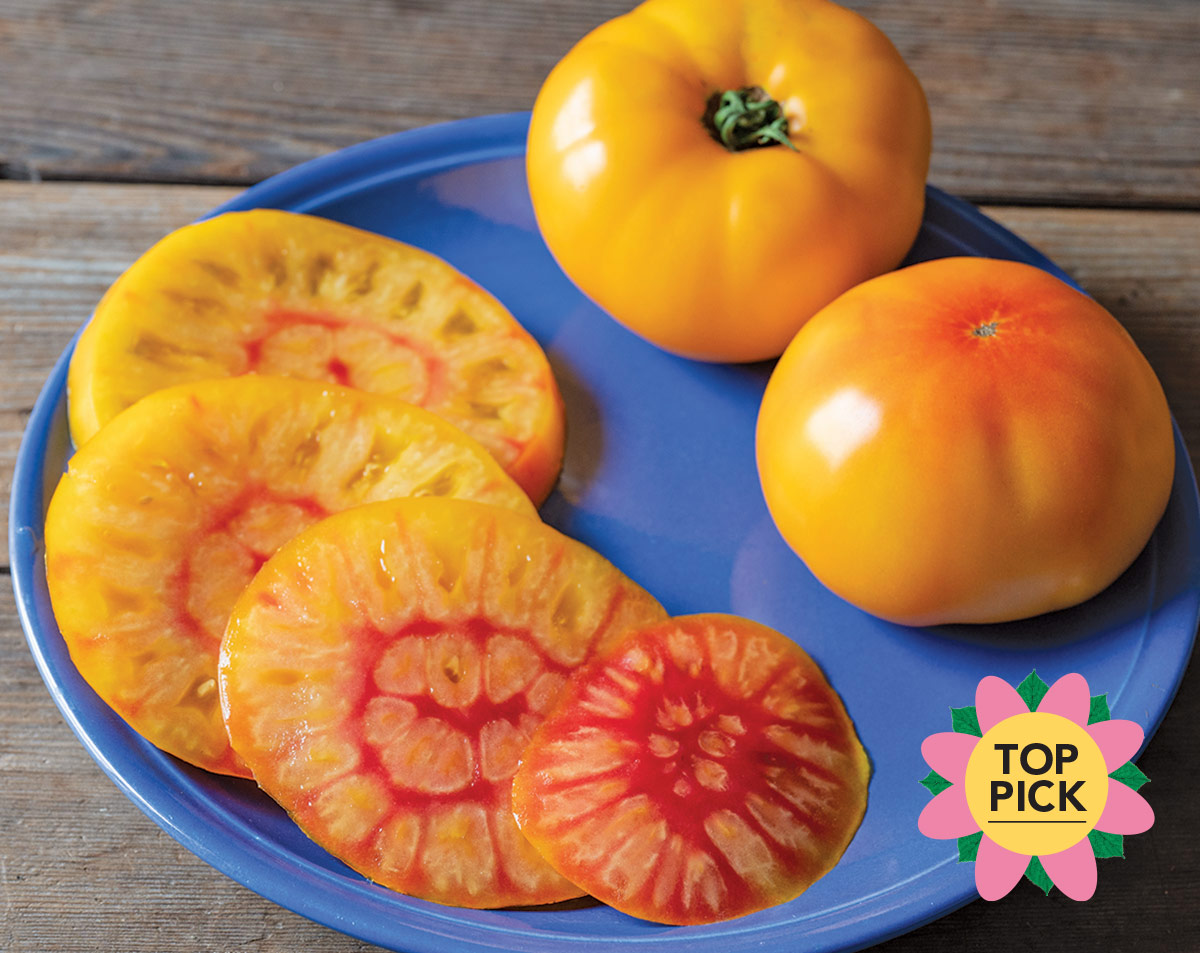 The Best Edibles for 2024 - Fine Gardening