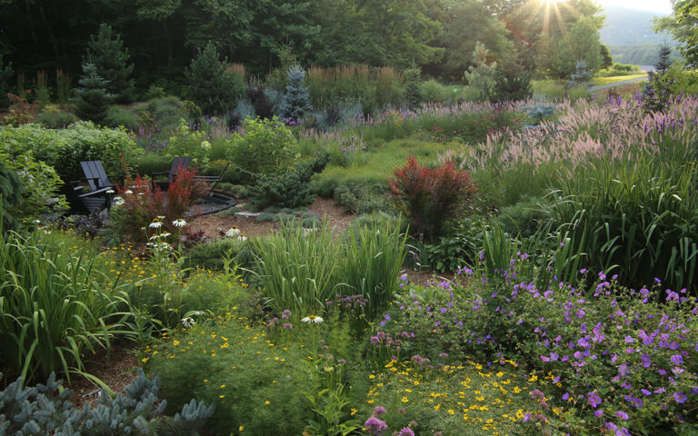 Episode 156: Finding Design Inspiration with Jay Sifford - Fine Gardening