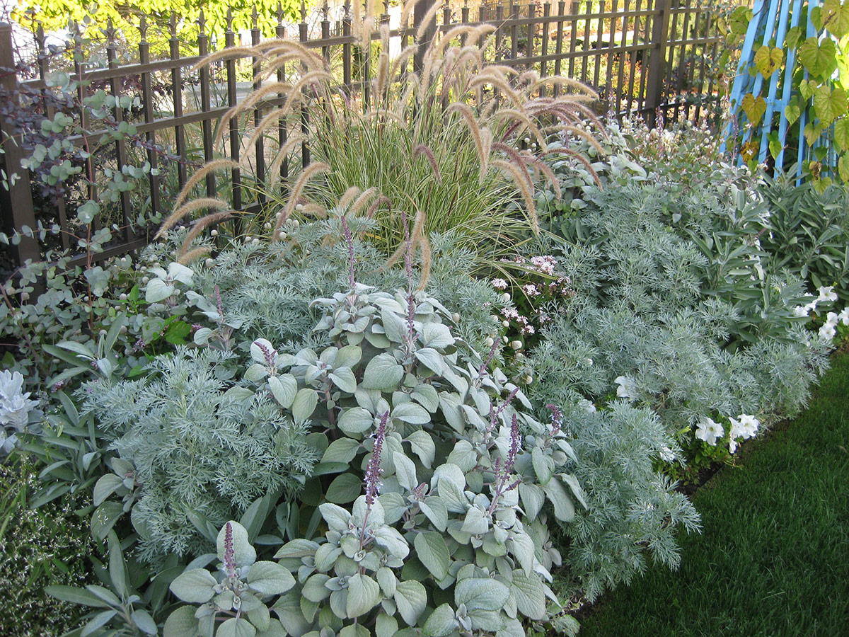 Moon Garden Inspiration - Fine Gardening