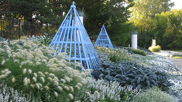 Grow a Halloween Garden with These Spooky Plants - Fine Gardening