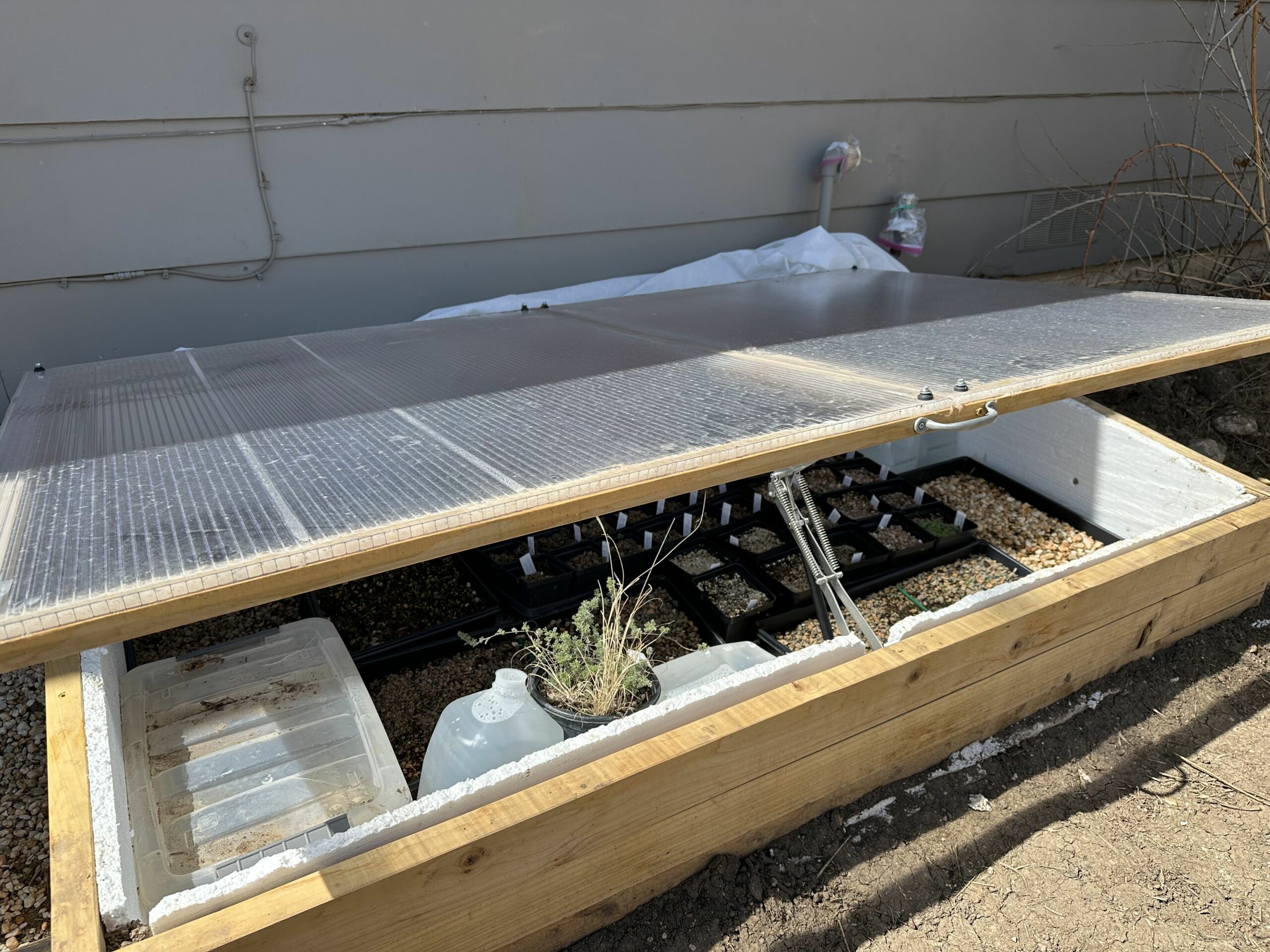 Tomatoes for Mountain West Gardeners - Fine Gardening