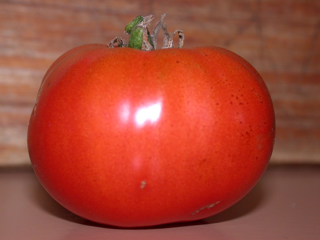 Tomatoes for Mountain West Gardeners - Fine Gardening