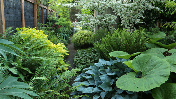 How to Design a Serene and Immersive Garden Oasis - Fine Gardening