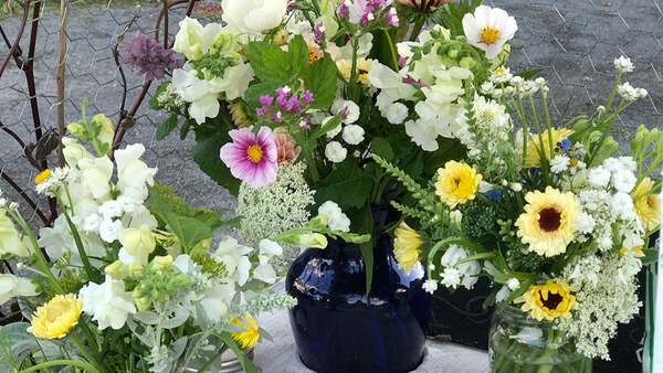 The Best Filler Flowers for Beautiful Cut-Flower Bouquets - Fine Gardening