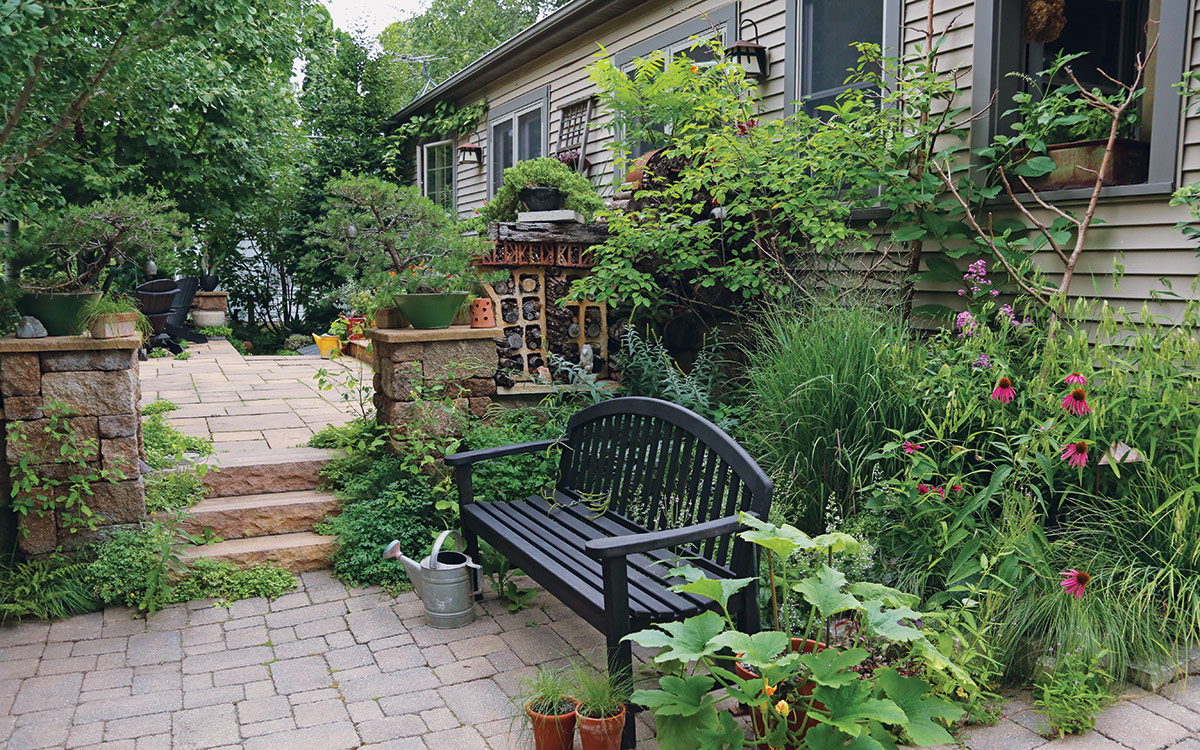 Design an Engaging, Naturalistic Garden in the Shade - Fine Gardening