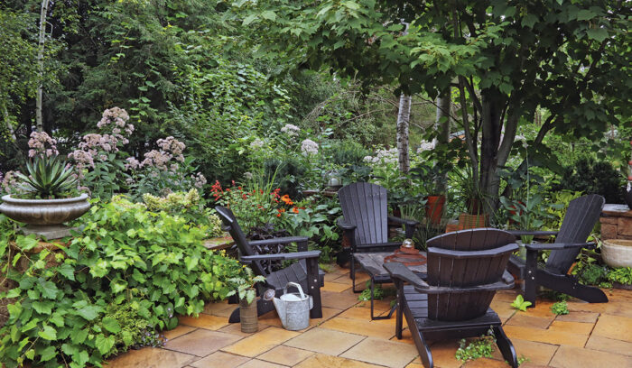 Design an Engaging, Naturalistic Garden in the Shade - Fine Gardening