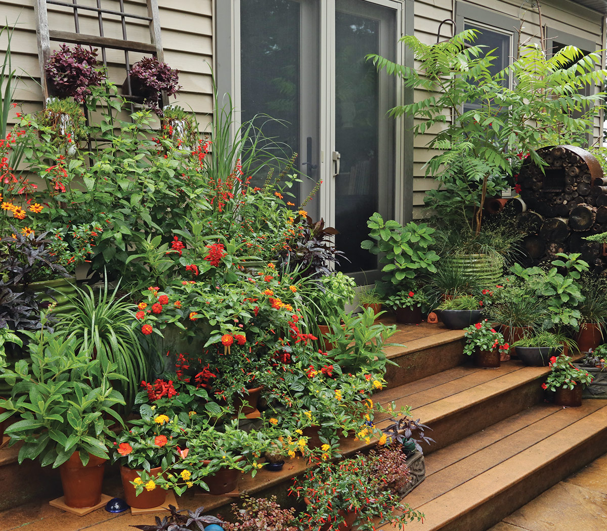 Design an Engaging, Naturalistic Garden in the Shade - Fine Gardening
