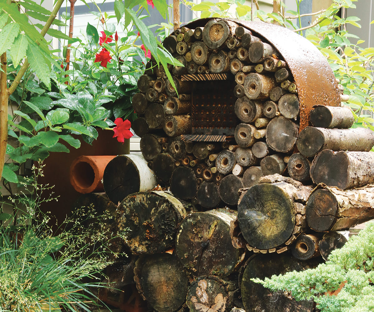 5 Simple Steps for Creating a More Eco-friendly Garden - Fine Gardening