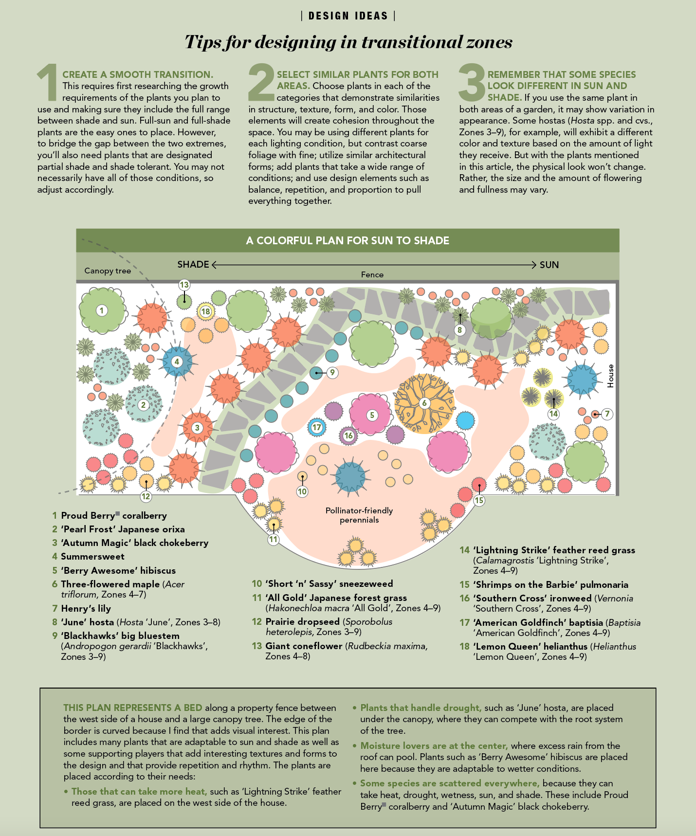 A Garden Planting Plan That Utilizes Adaptable Plants - Fine Gardening
