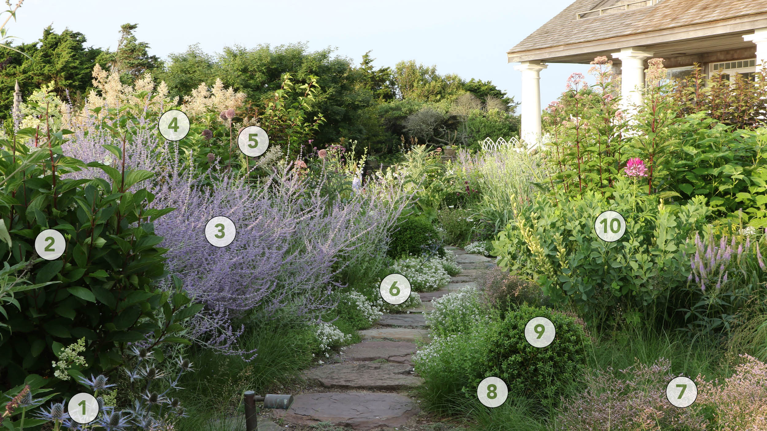 Planting Plan of a Seaside Garden That Sustains Punishing Conditions ...