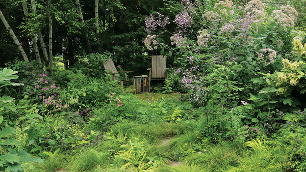 Design an Engaging, Naturalistic Garden in the Shade - Fine Gardening