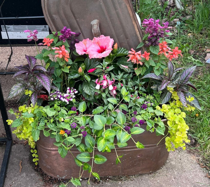 Creating Container Garden Art - Fine Gardening