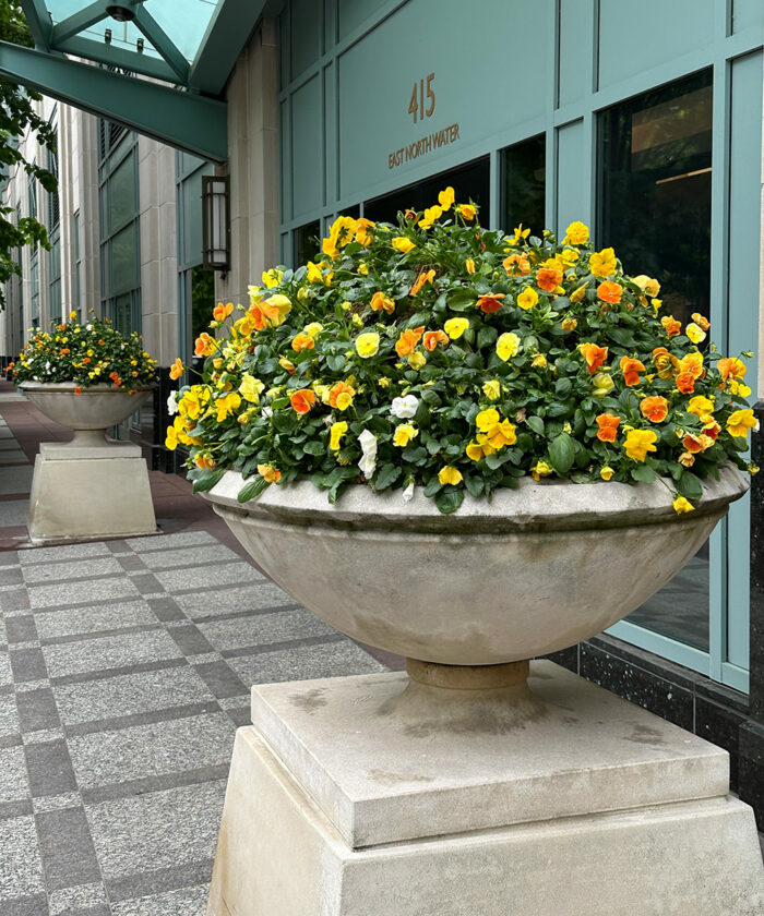 Howard’s Spring Container Displays - Fine Gardening