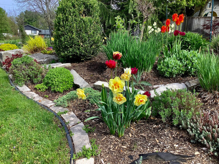 Spring in Alice’s Ontario Garden - Fine Gardening