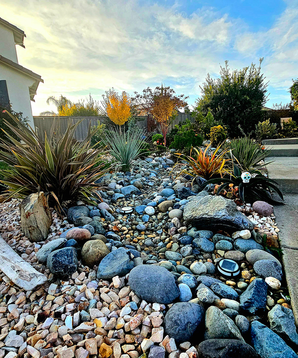 GPOD Vignettes: A Succulent Front Yard, New Blooms from a Zesty Plant ...