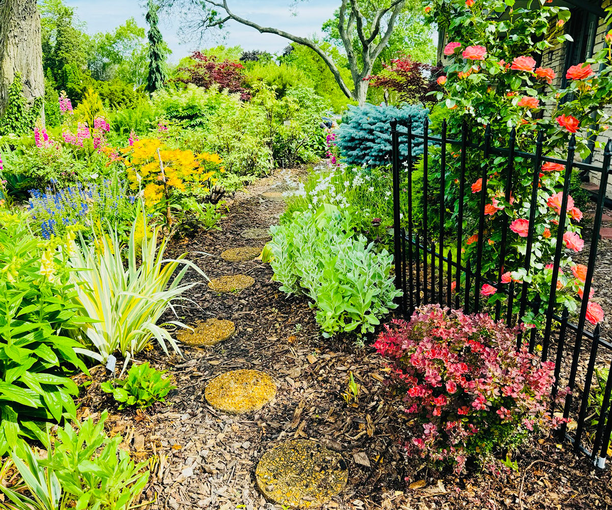 Fabulous Flowers in Anna's Wisconsin Garden - Fine Gardening